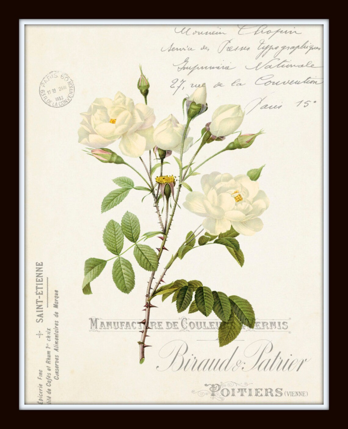 White Botanical Collage Print Set No. 4, Antique Botanical, Wall Art ...