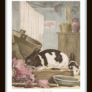 French Rabbits Print Set No. 1, Vintage Rabbit Prints, Giclee, French ...