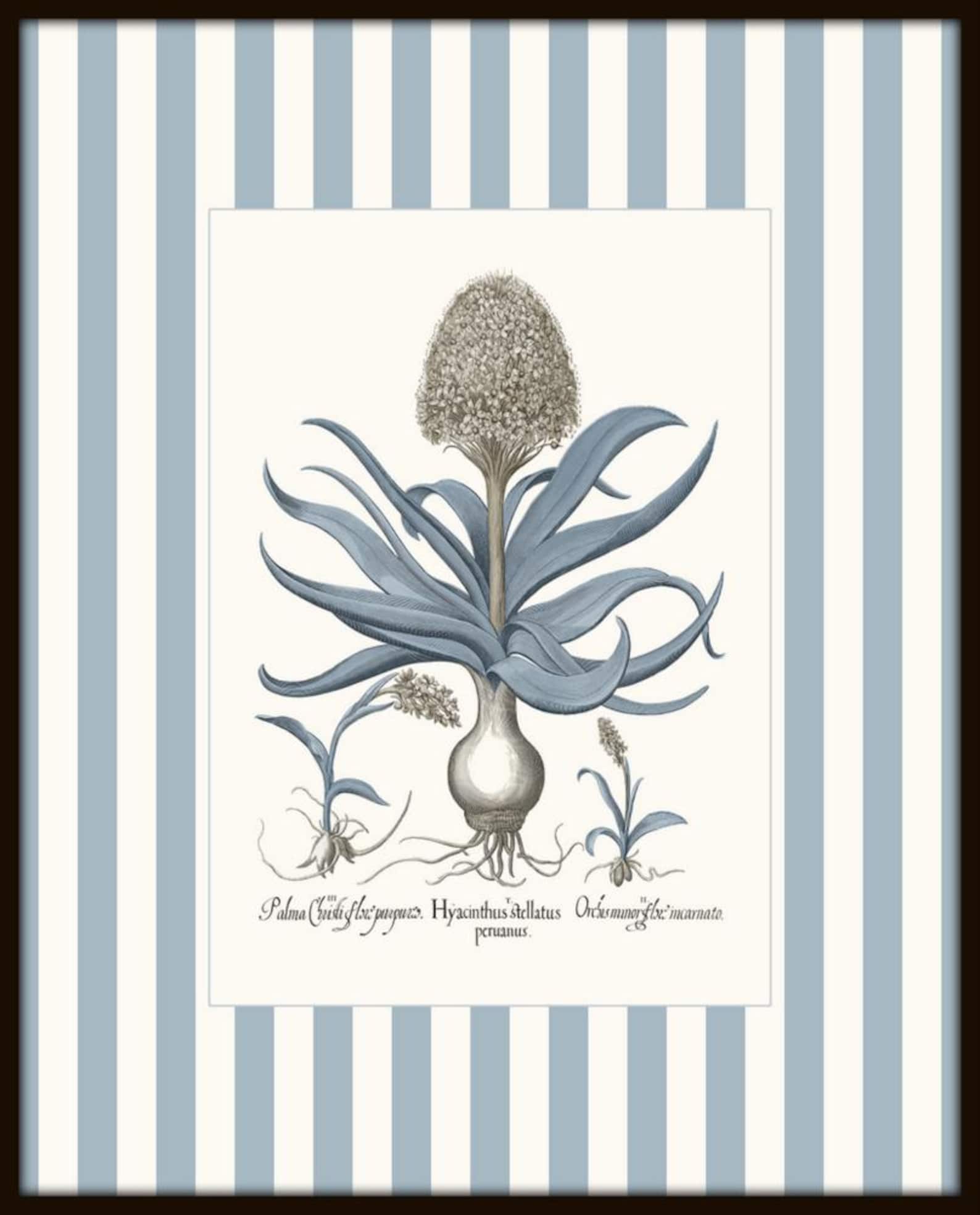 Blue Stripe Sepia and Blue Botanical Art, Set of Three Prints, Vintage ...