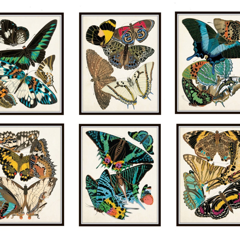 Art Deco Butterfly - Etsy
