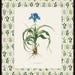 French Blue Botanical Print Set With Floral Block Print Border ...