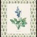 French Blue Botanical Print Set With Floral Block Print Border ...