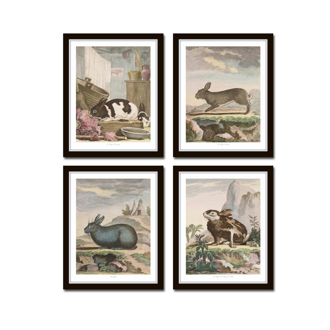 French Rabbits Print Set No. 1, Vintage Rabbit Prints, Giclee, French ...