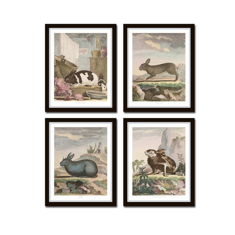 French Rabbit - Etsy
