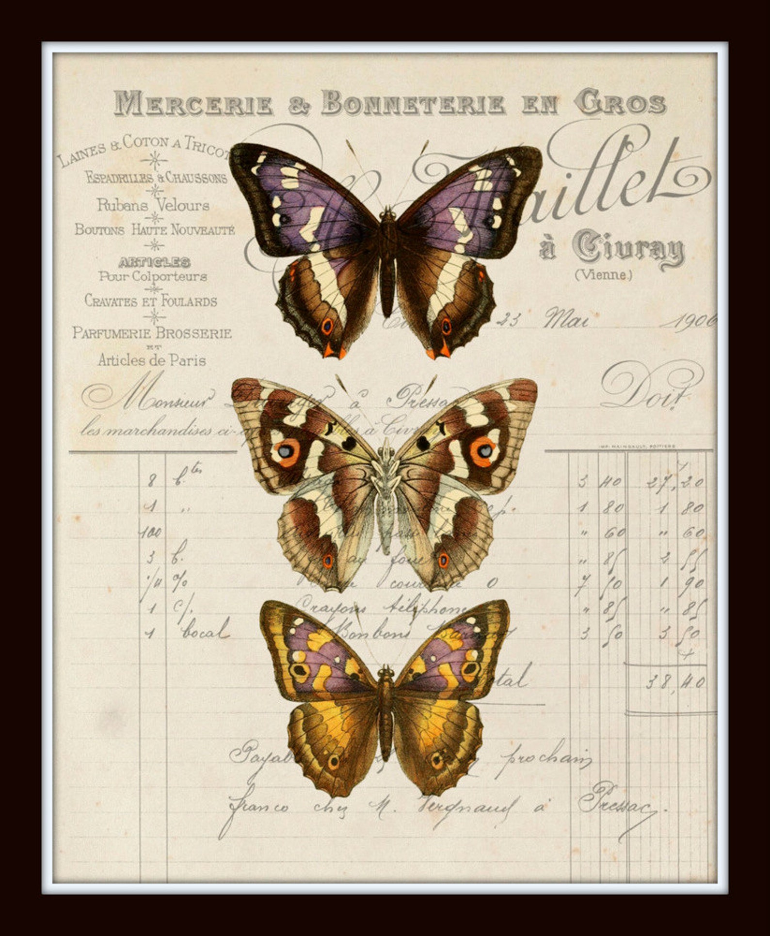 French Butterfly Study Print Set No. 2 Print Set Giclee - Etsy