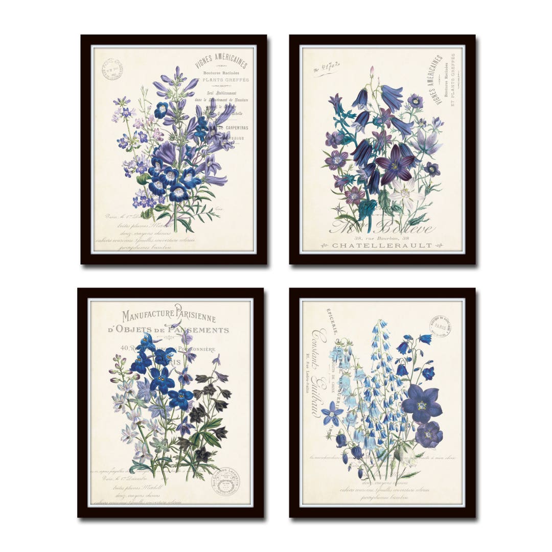 French Botanical Collage Print Set No. 29, Botanical Print, Wall Art ...