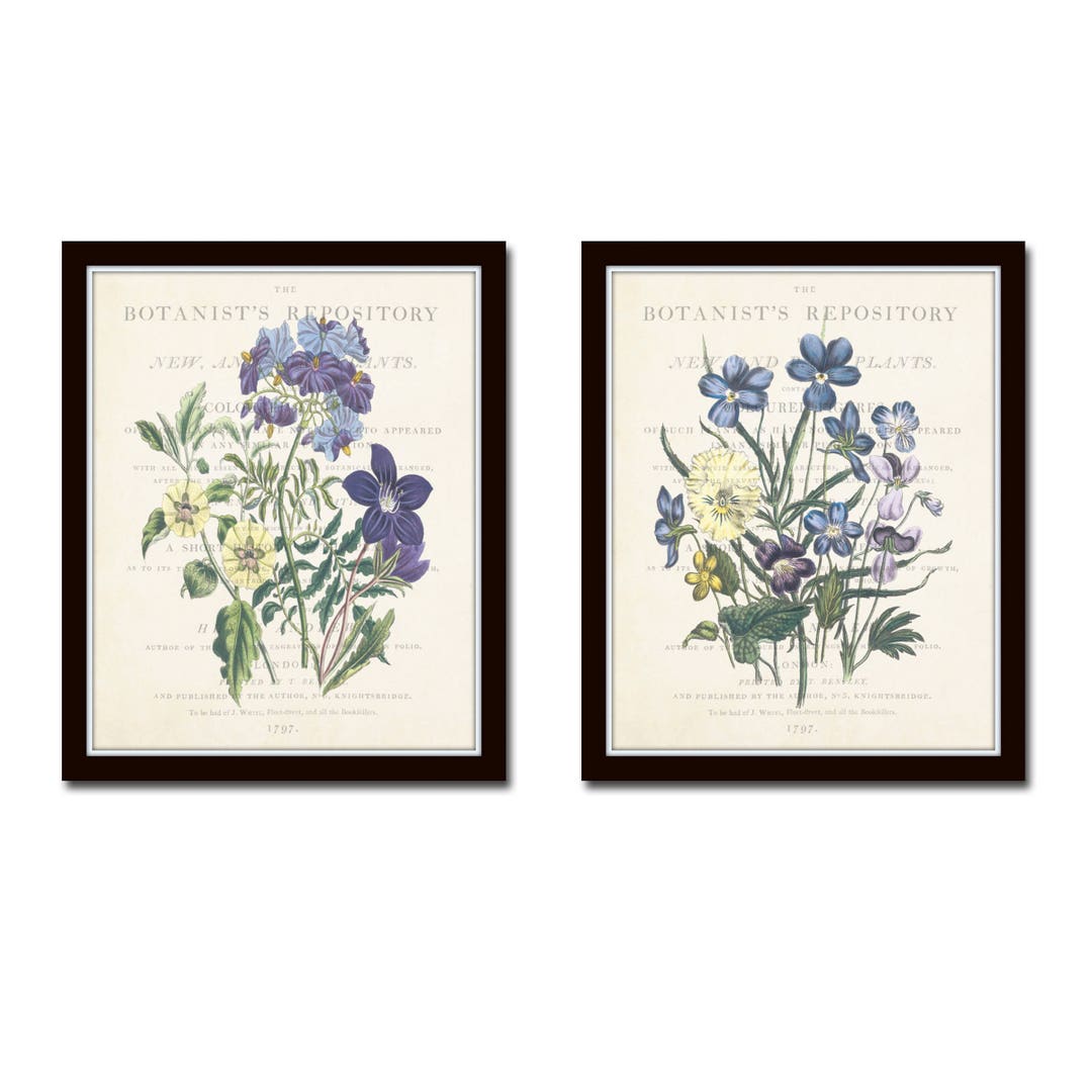 Garden Flowers Print Set No.22, Collage, Botanical Prints, Giclee, Art ...