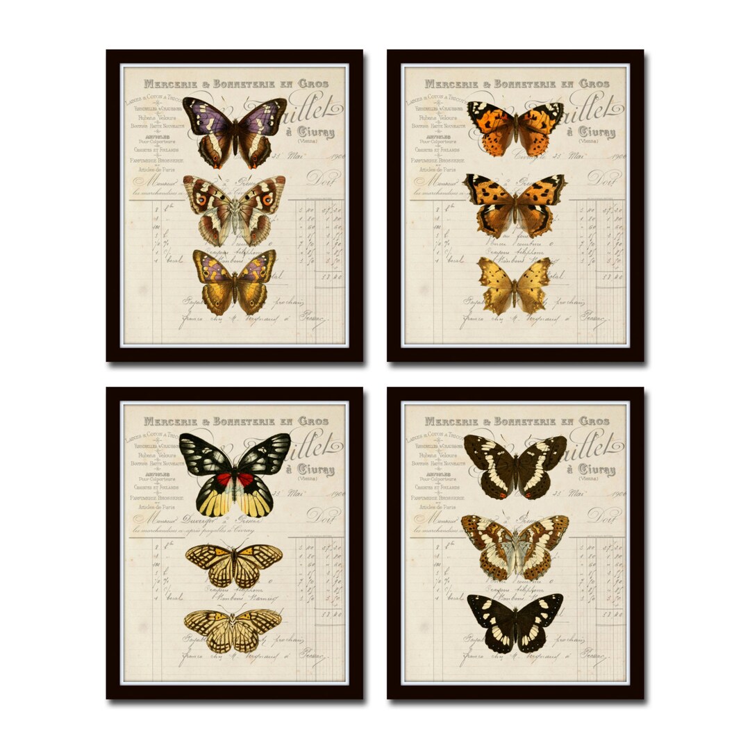 French Butterfly Study Print Set No. 2, Print Set, Giclee, Art ...