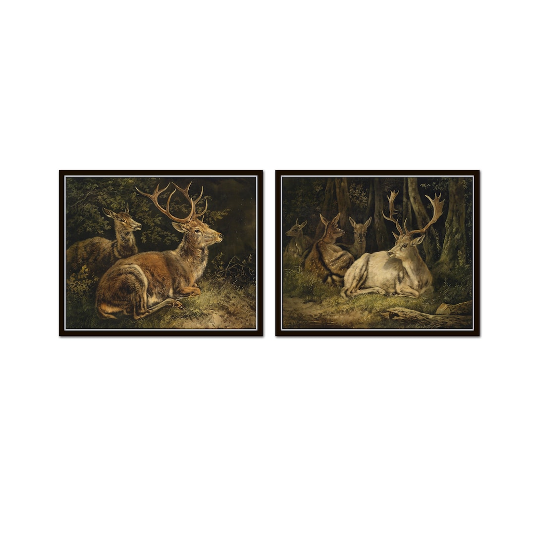 Vintage Deer in the Forest Print Set, Hunting Prints, Hunt Club Art ...