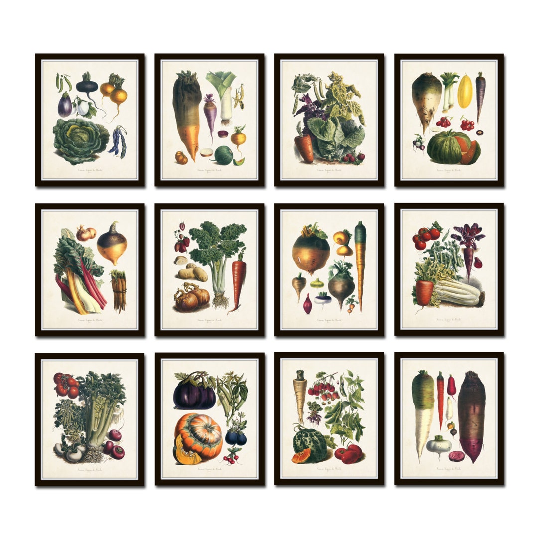 French Vegetable Print, Giclee, Wall Art, Art Prints, Vintage Botanical ...