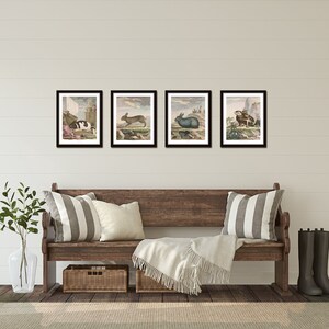 French Rabbits Print Set No. 1, Vintage Rabbit Prints, Giclee, French ...