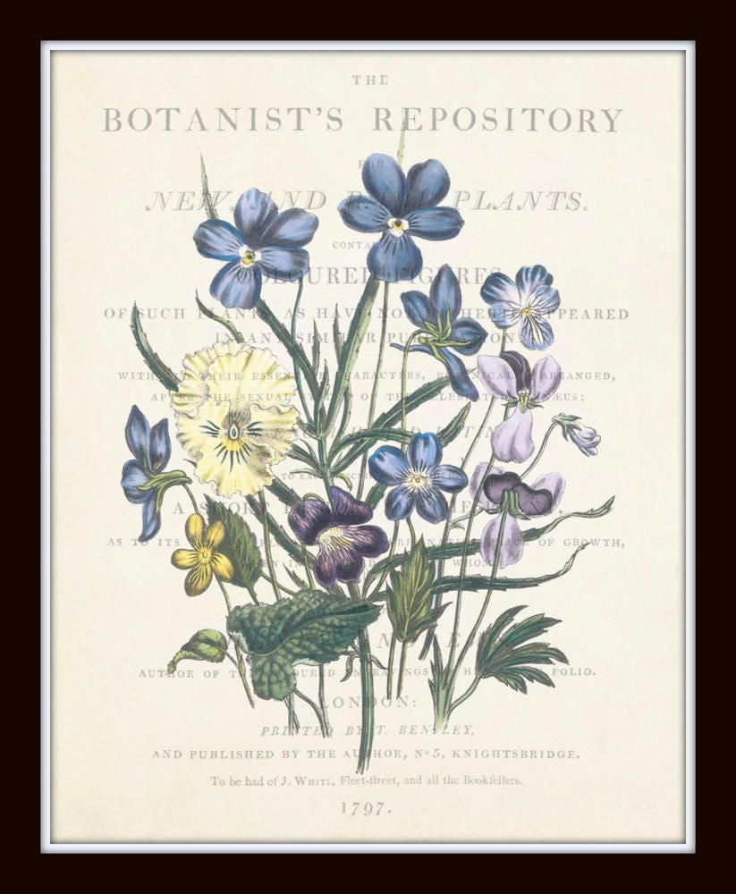 Garden Flowers Print Set No.22, Collage, Botanical Prints, Giclee, Art ...