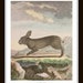 French Rabbits Print Set No. 1, Vintage Rabbit Prints, Giclee, French ...