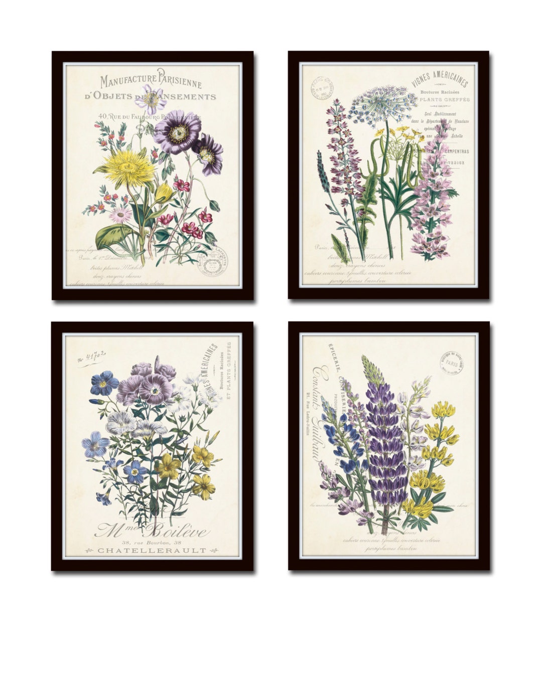 French Botanical Collage Print Set No. 2, Vintage Botanical, Print Set ...