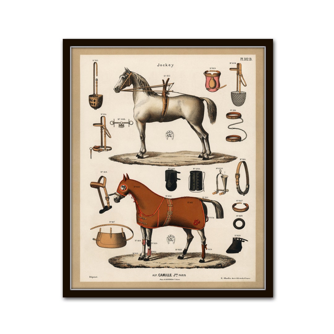Vintage French Horse Tack No. 1, Vintage Horse Print, French Horse Art ...