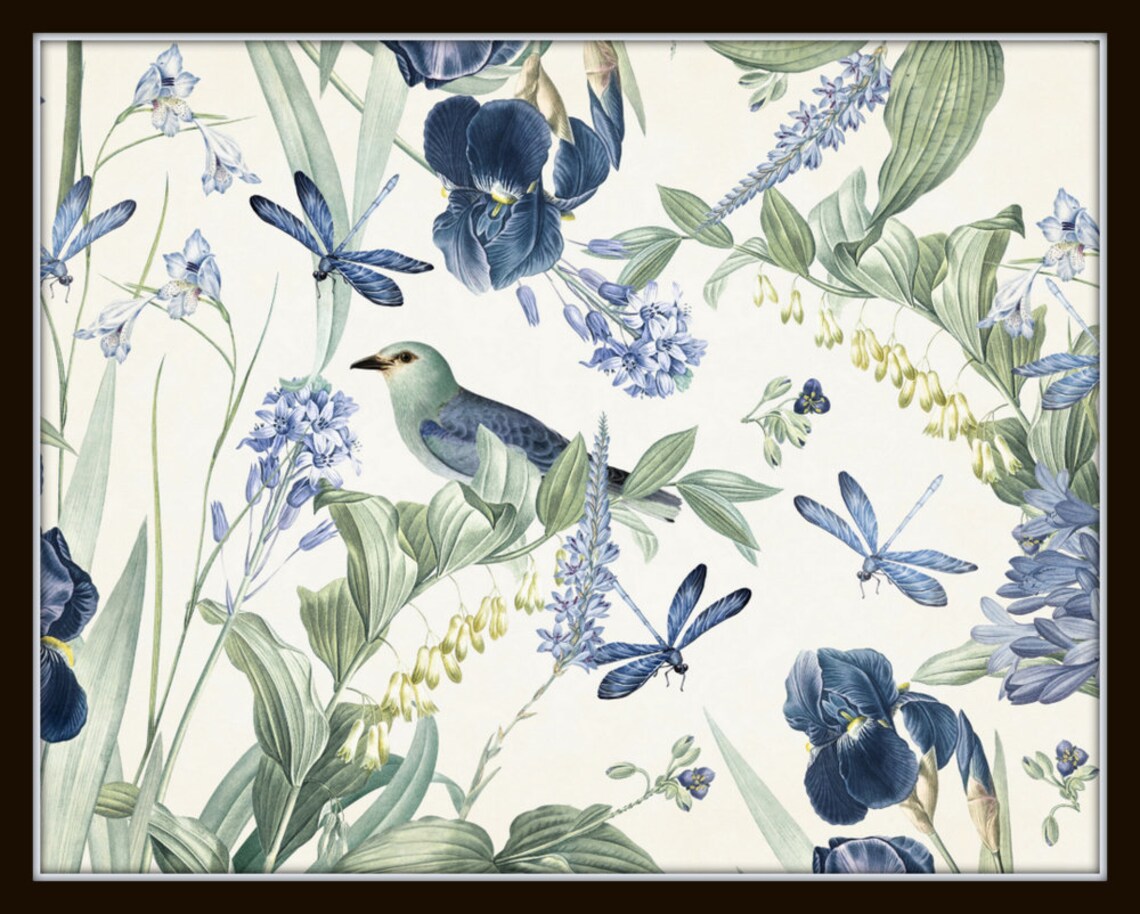 Vintage Bird and Botanical Print Set No. 14, Vintage Bird Prints ...