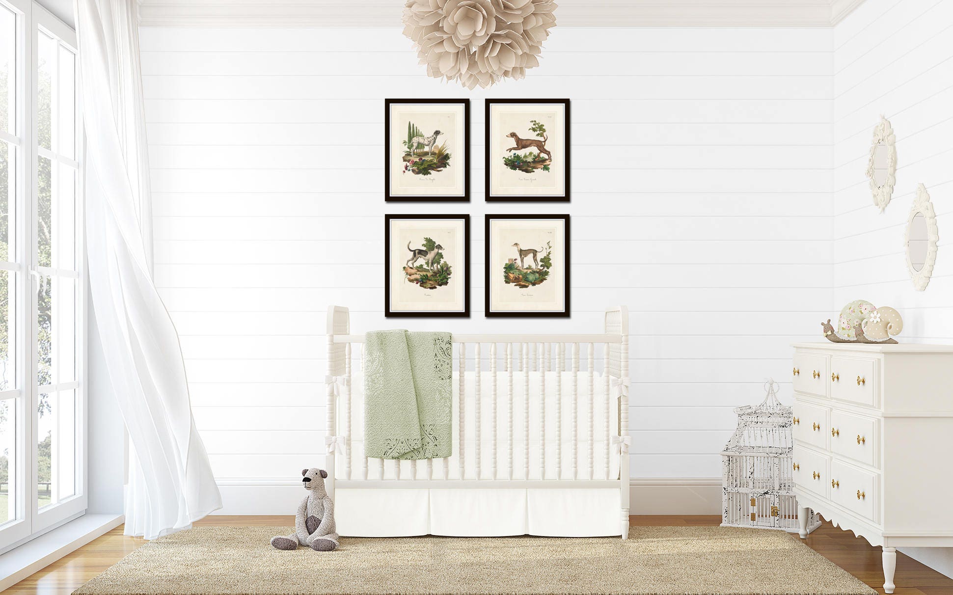 Vintage French Dogs Print Set No. 1 Vintage Dog Prints | Etsy