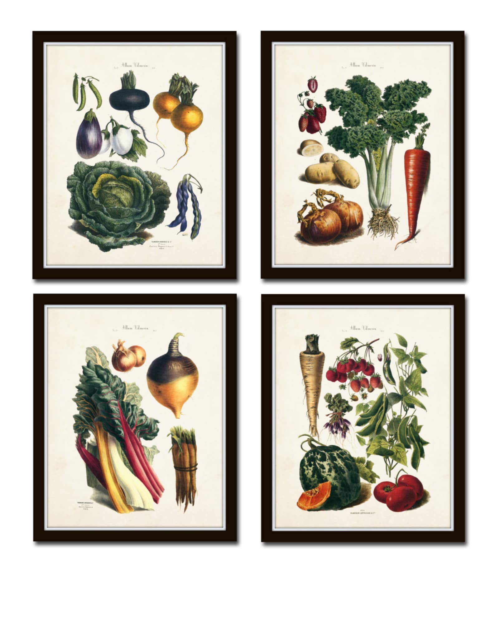 French Vegetable Print Set, Giclee, Art, Vintage Vegetable Prints, Wall ...