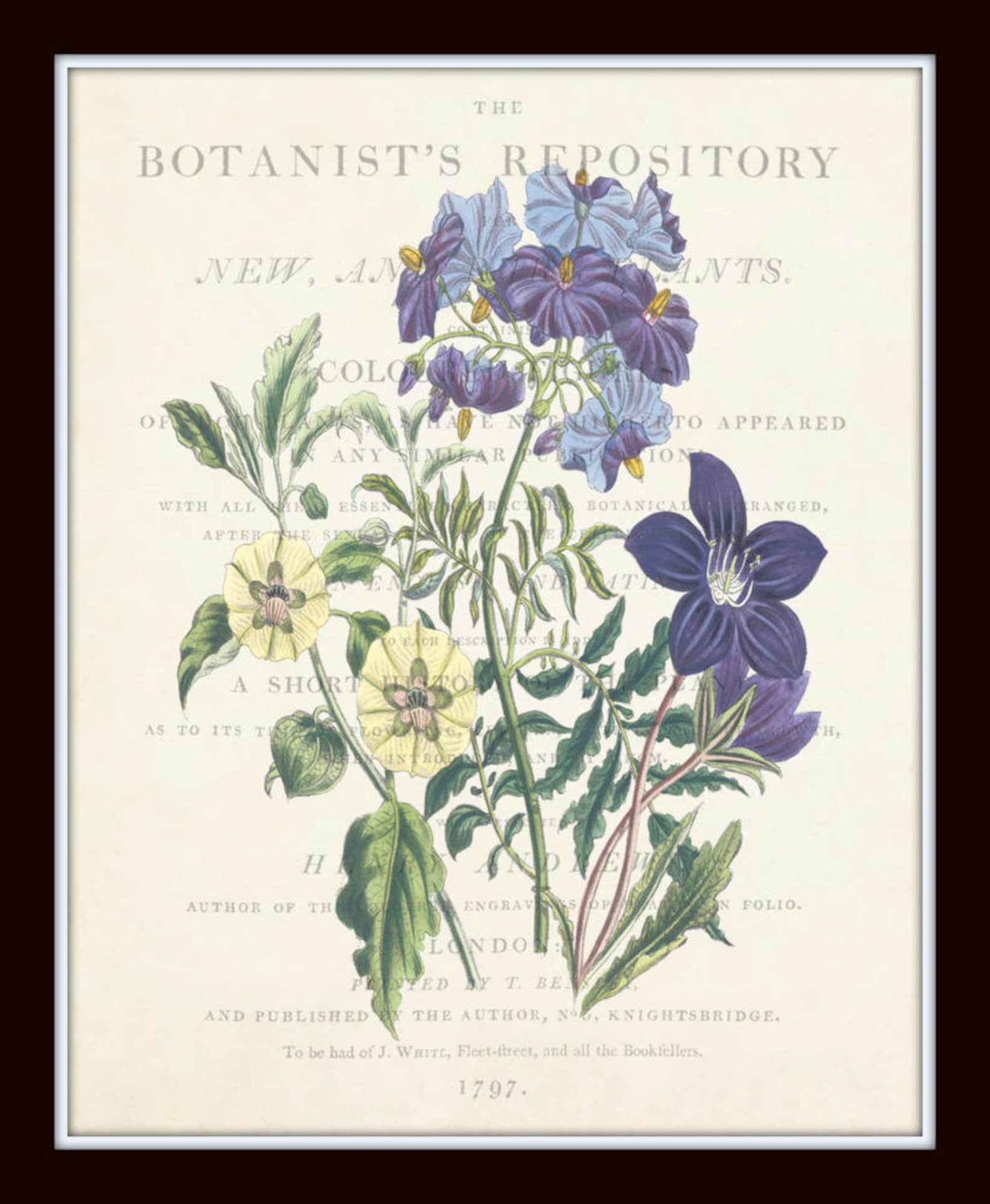 Garden Flowers Print Set No.22, Collage, Botanical Prints, Giclee, Art ...