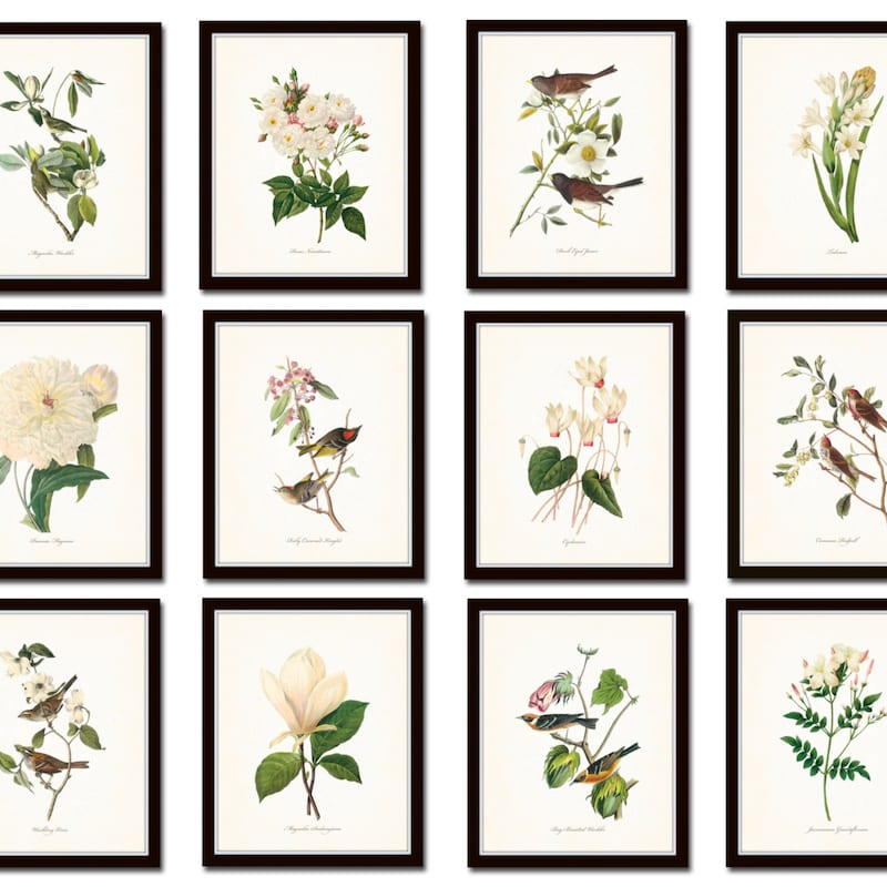 Botanical Print - Etsy