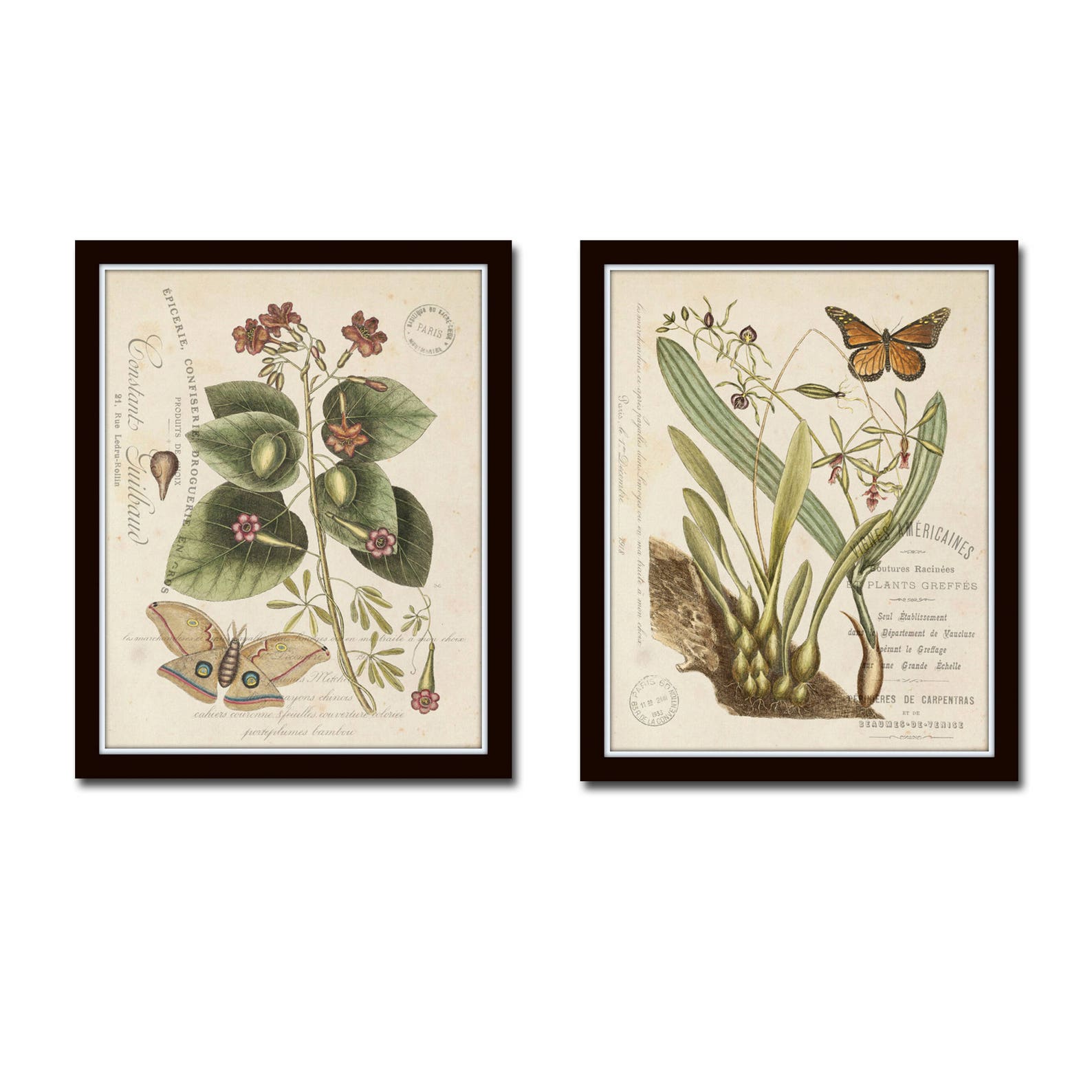 Vintage Butterfly and Botanical Collage Print Set No. 2, Giclee ...