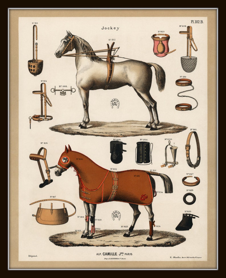 Vintage French Horse Tack No. 1, Vintage Horse Print, French Horse Art ...