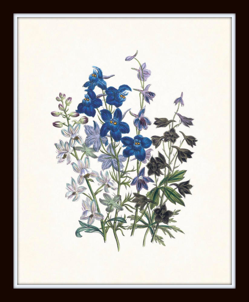 Wild Flowers Botanical Print Set No.2 Botanical Prints | Etsy