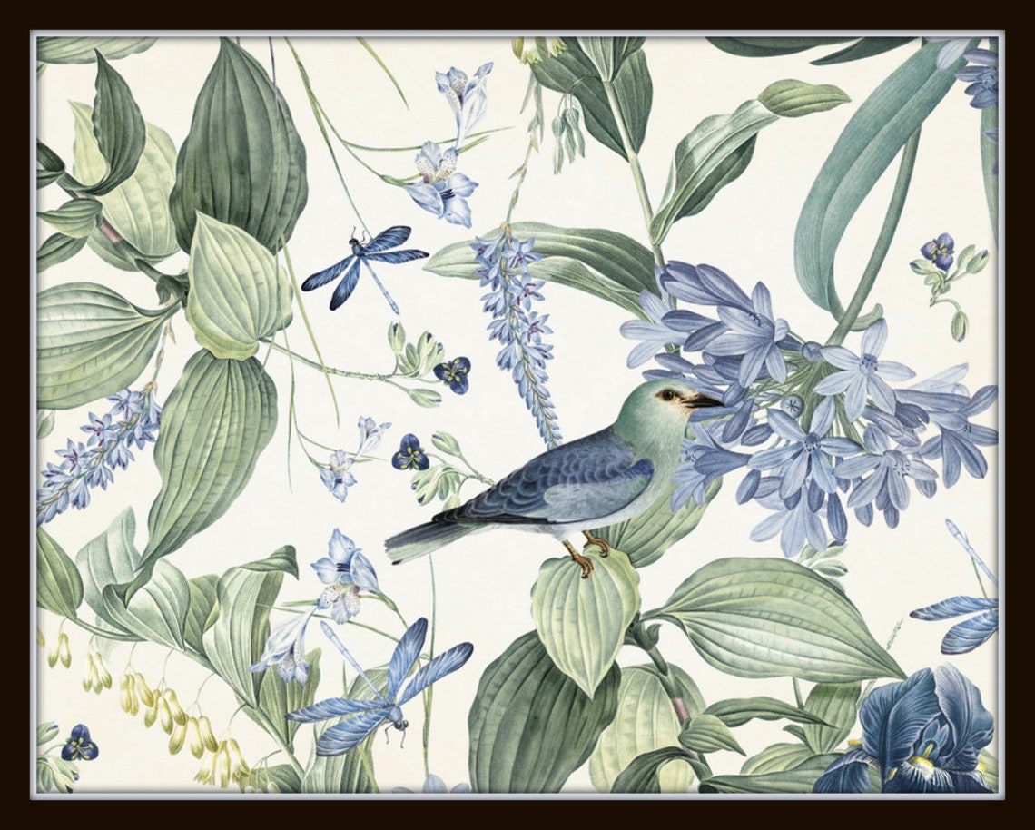Vintage Bird and Botanical Print Set No. 14, Vintage Bird Prints ...