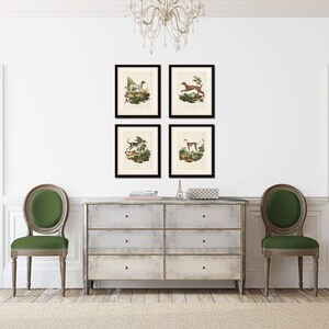 Vintage French Dogs Print Set No. 1, Vintage Dog Prints, Giclee, French ...