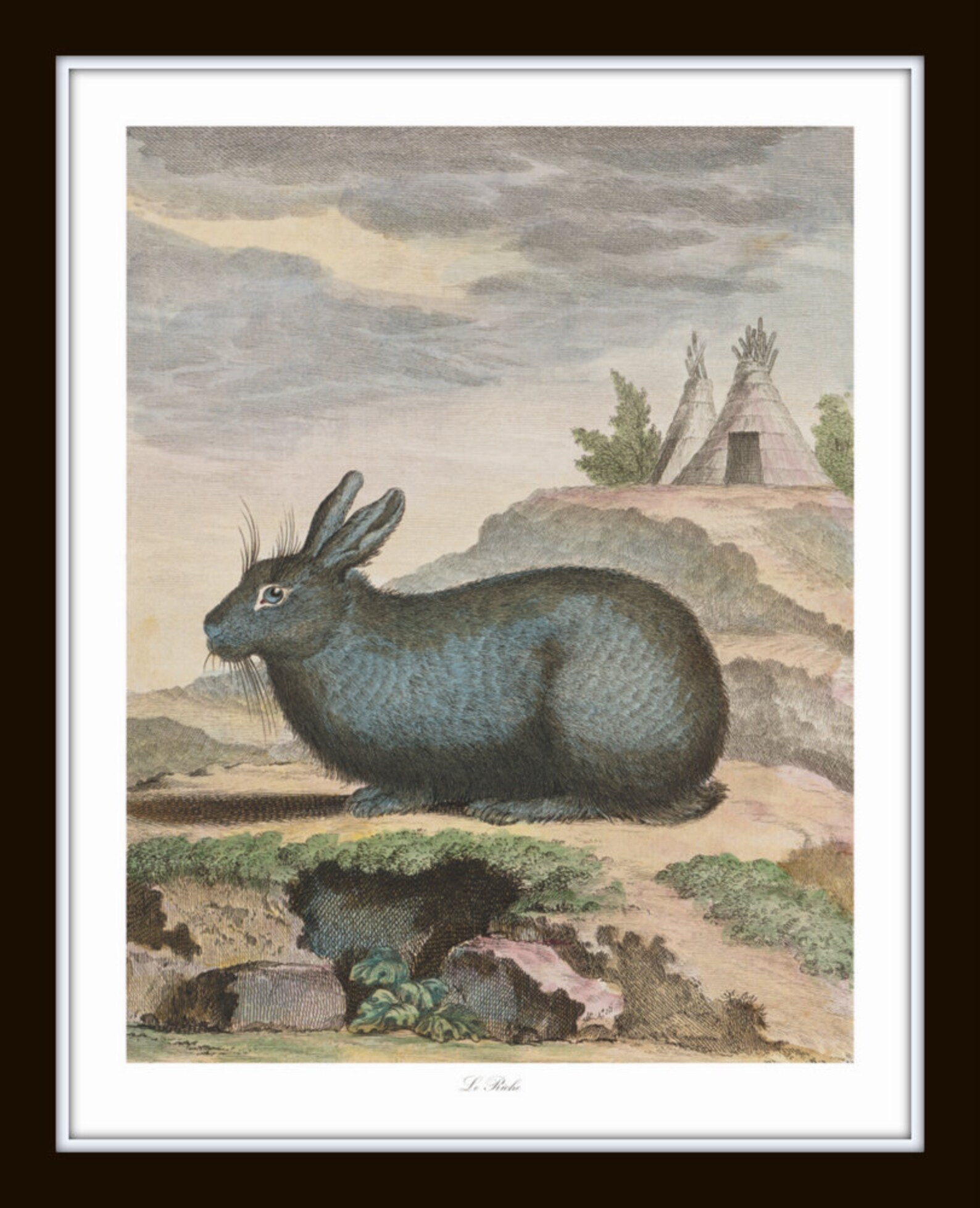 French Rabbits Print Set No. 1 Vintage Rabbit Prints Giclee - Etsy