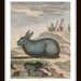 French Rabbits Print Set No. 1, Vintage Rabbit Prints, Giclee, French ...