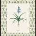 French Blue Botanical Print Set With Floral Block Print Border ...