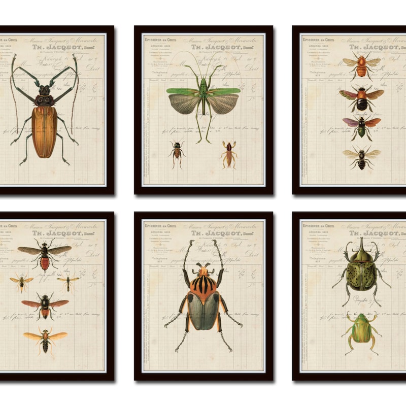 Insect Art - Etsy