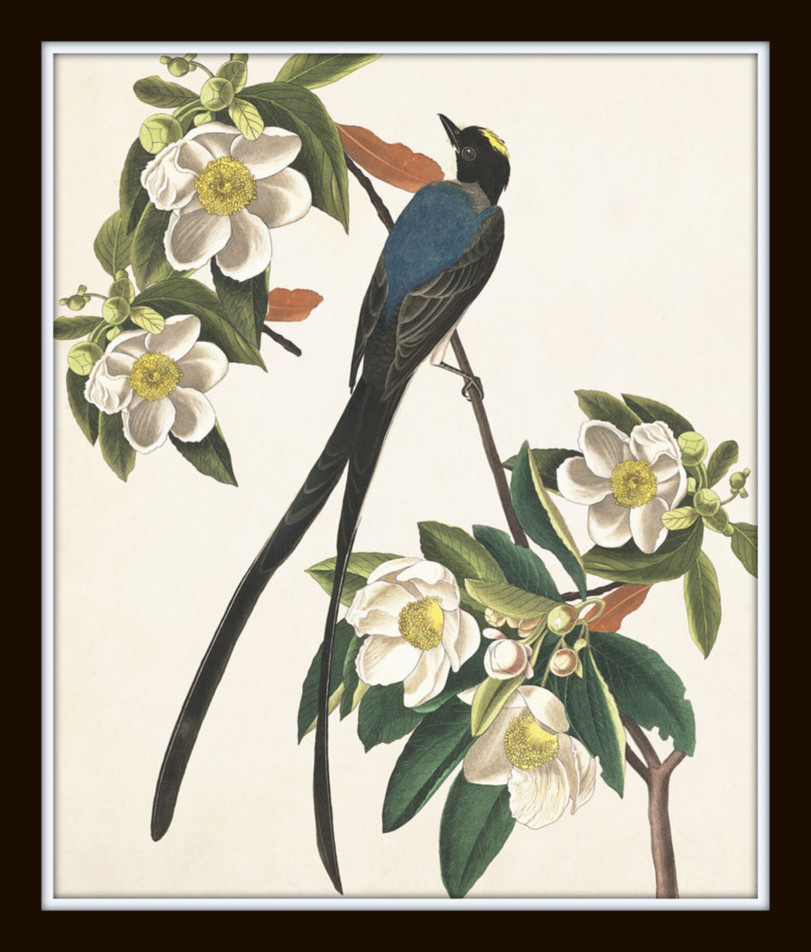 Blue Birds Print Set No. 1 Botanical Prints Wall Art - Etsy