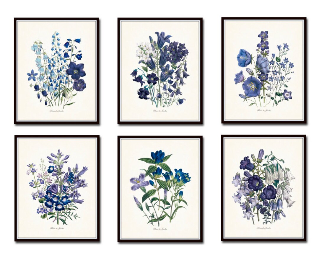Botanical Print Set Fleurs De Jardin Botaical Print Set No. 6 ...