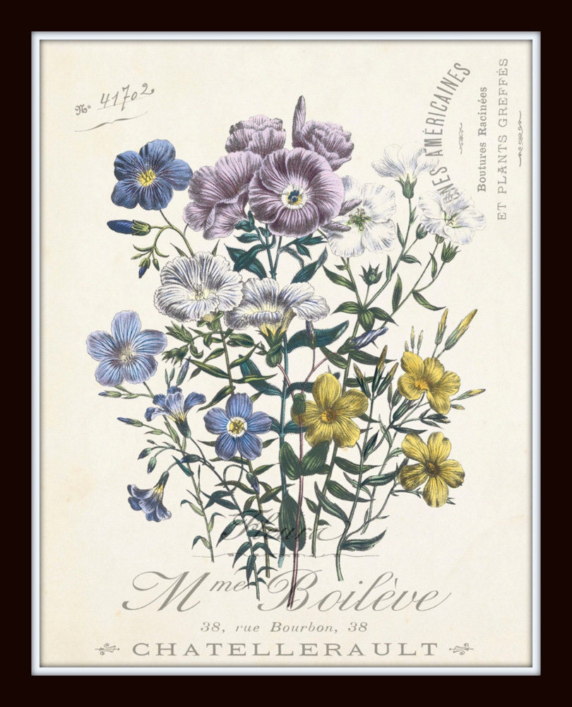 French Botanical Collage Print Set No. 2, Vintage Botanical, Print Set ...