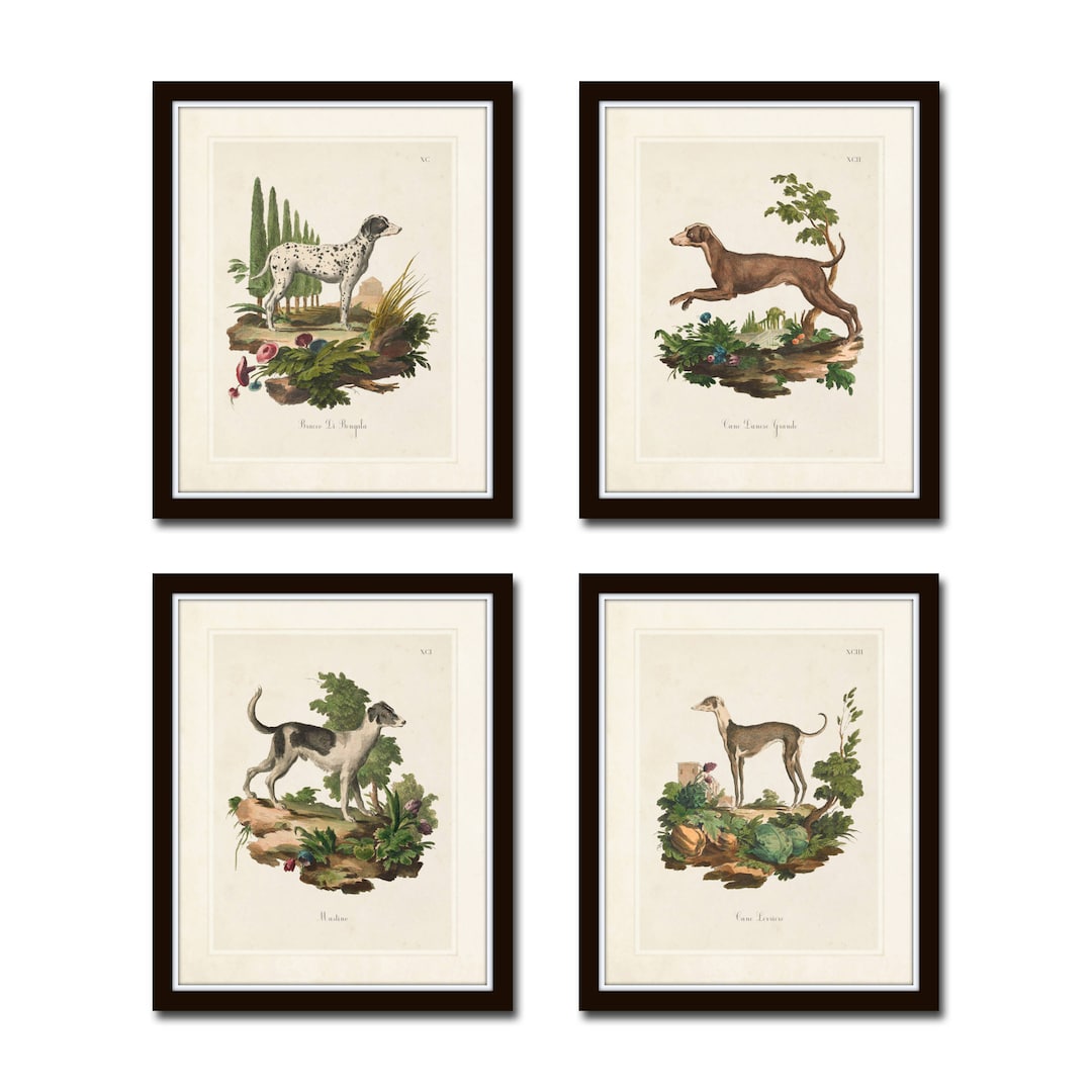Vintage French Dogs Print Set No. 1, Vintage Dog Prints, Giclee, French ...