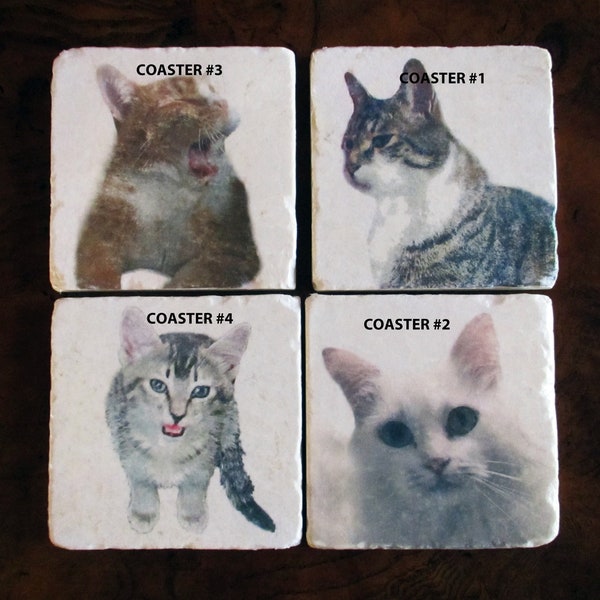 Cat Stone Coasters - Etsy