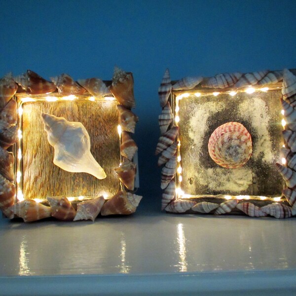 Seashell Shadow Box - Etsy
