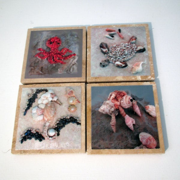 Seashell Coasters - Etsy
