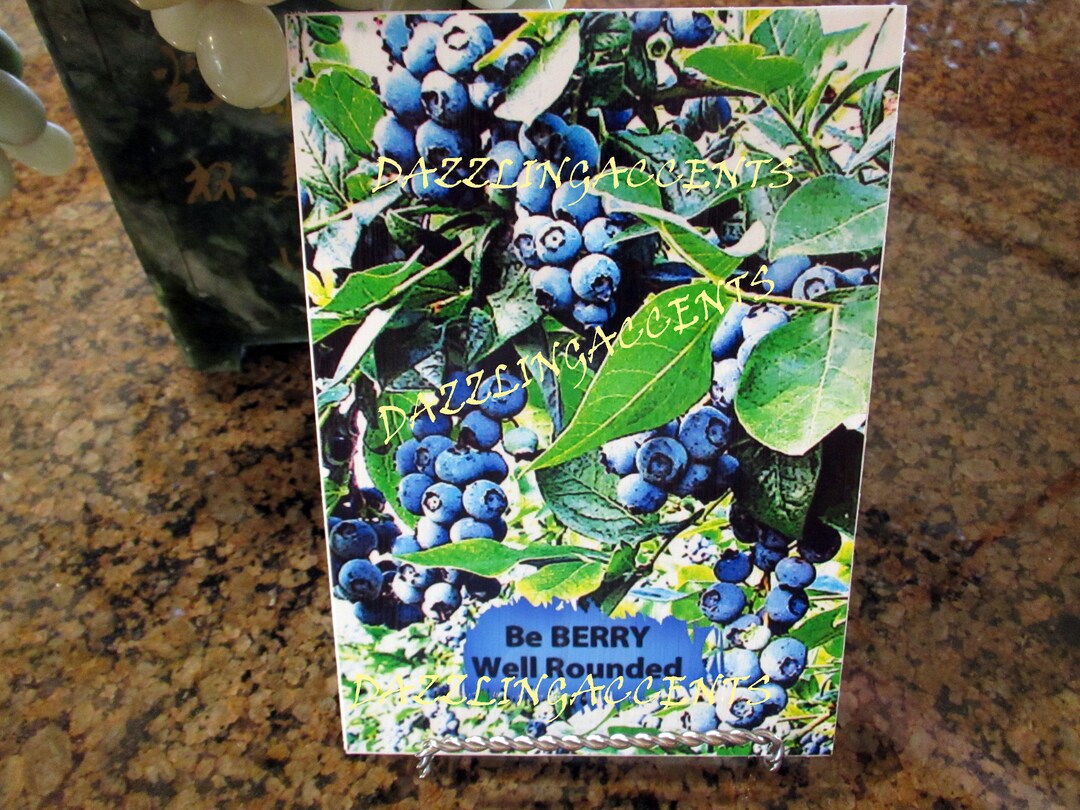 Fruit Blueberry Picture, Kitchen Picture, Funny Fruit Puns, Kitchen ...