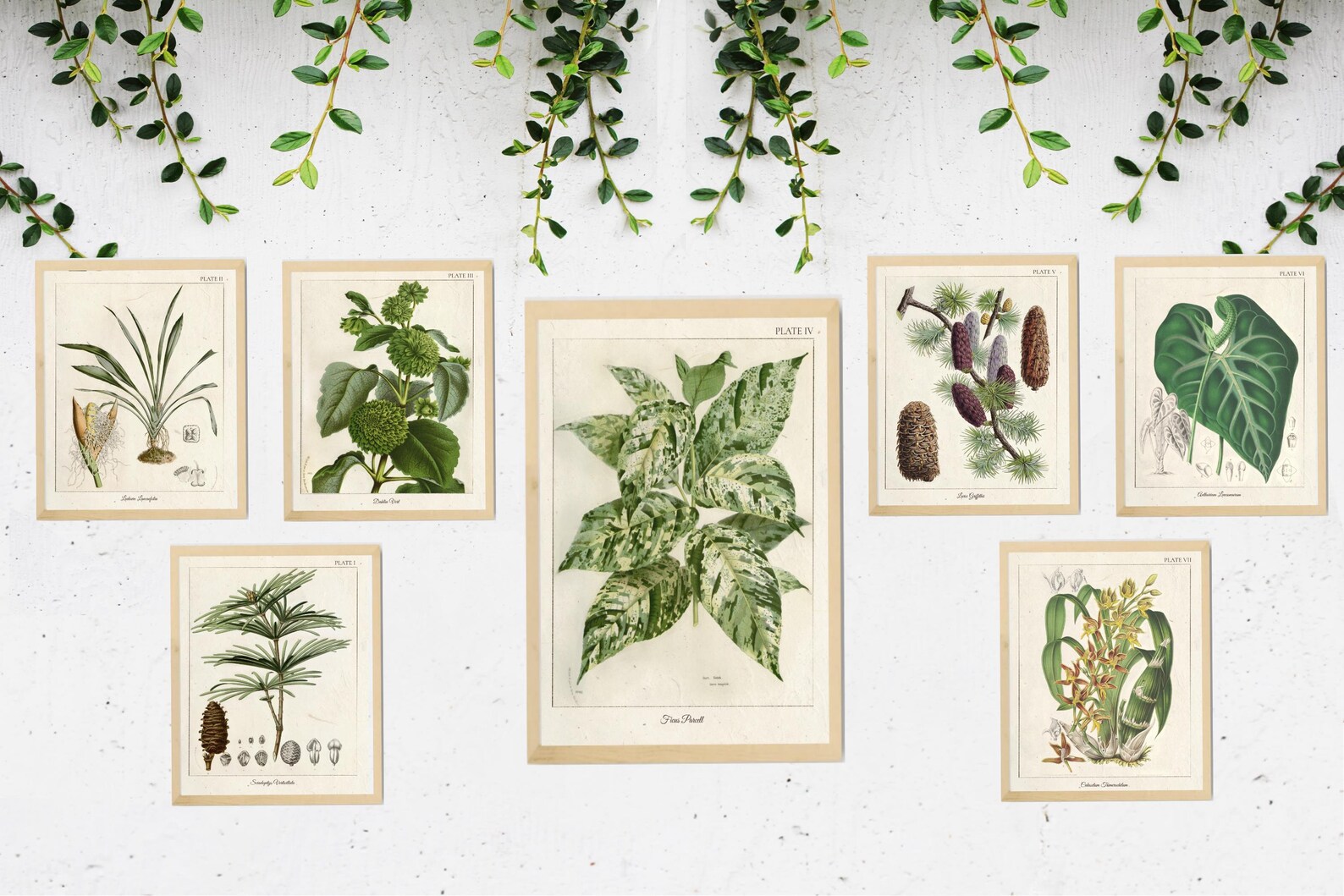 Set of 7 Greenery Prints, Greenery Wall Art, Greenery Decor, Green Wall ...