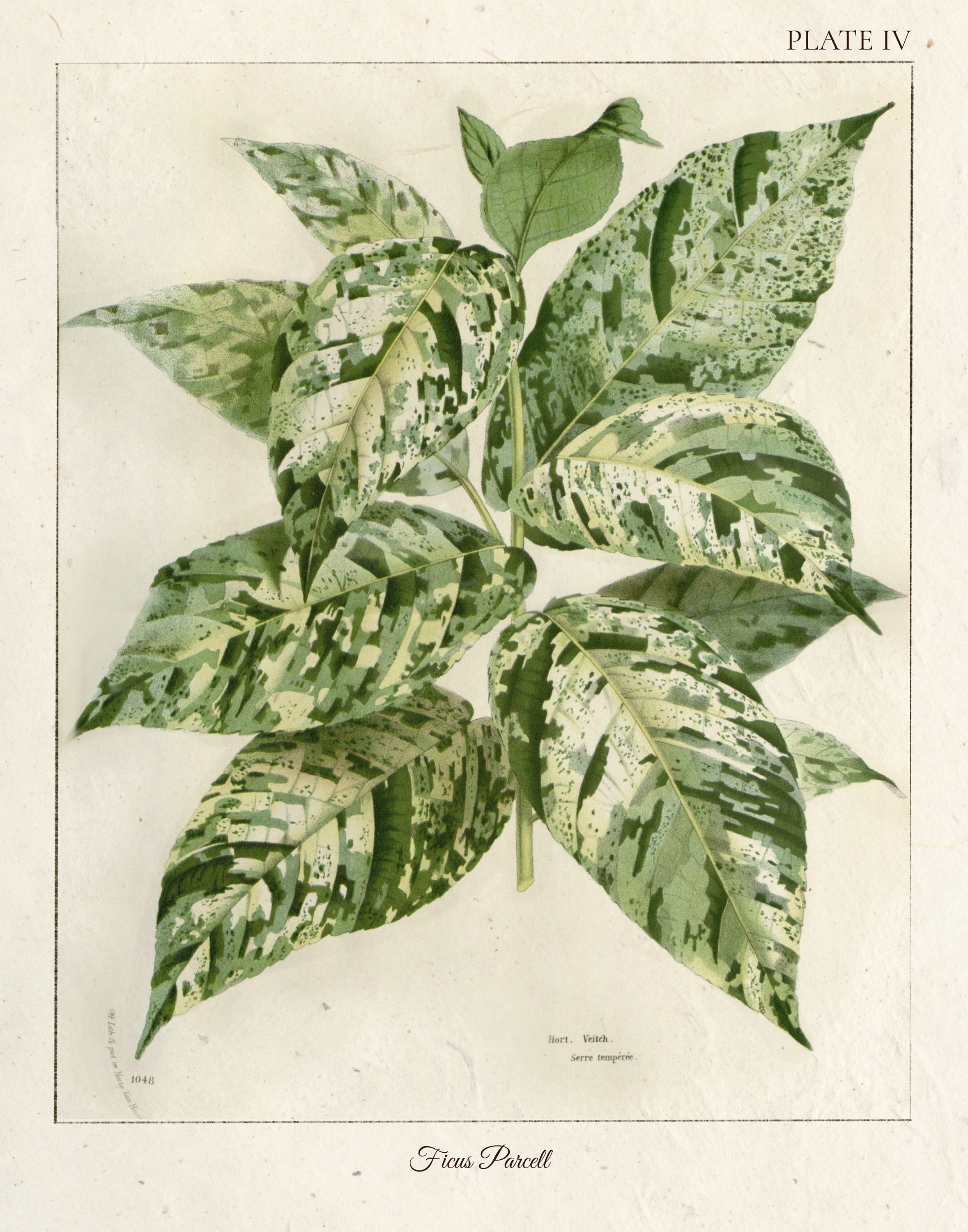 Set of 7 Greenery Prints, Greenery Wall Art, Greenery Decor, Green Wall ...