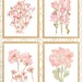 Wildflower Gallery Prints Blush Boho Floral Bundle Wildflower Bouquet ...