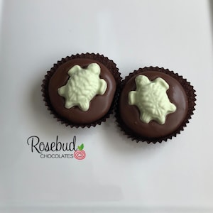 12 TURTLE Chocolate Covered Oreo Cookie Favors Baby Shower Animal ...