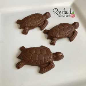 12 SEA TURTLE Chocolate Candy Favors Beach Ocean Nautical - Etsy