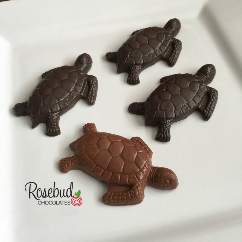 12 SEA TURTLE Chocolate Candy Favors Beach Ocean Nautical | Etsy