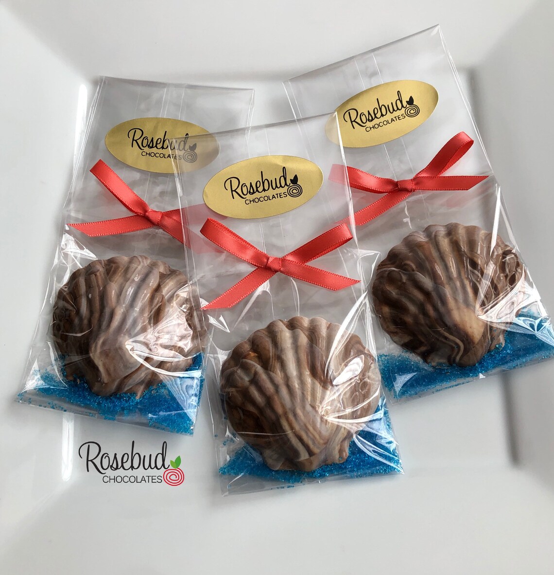 12 SEASHELL Chocolate Favors Beach Nautical Luau Wedding Birthday Party ...