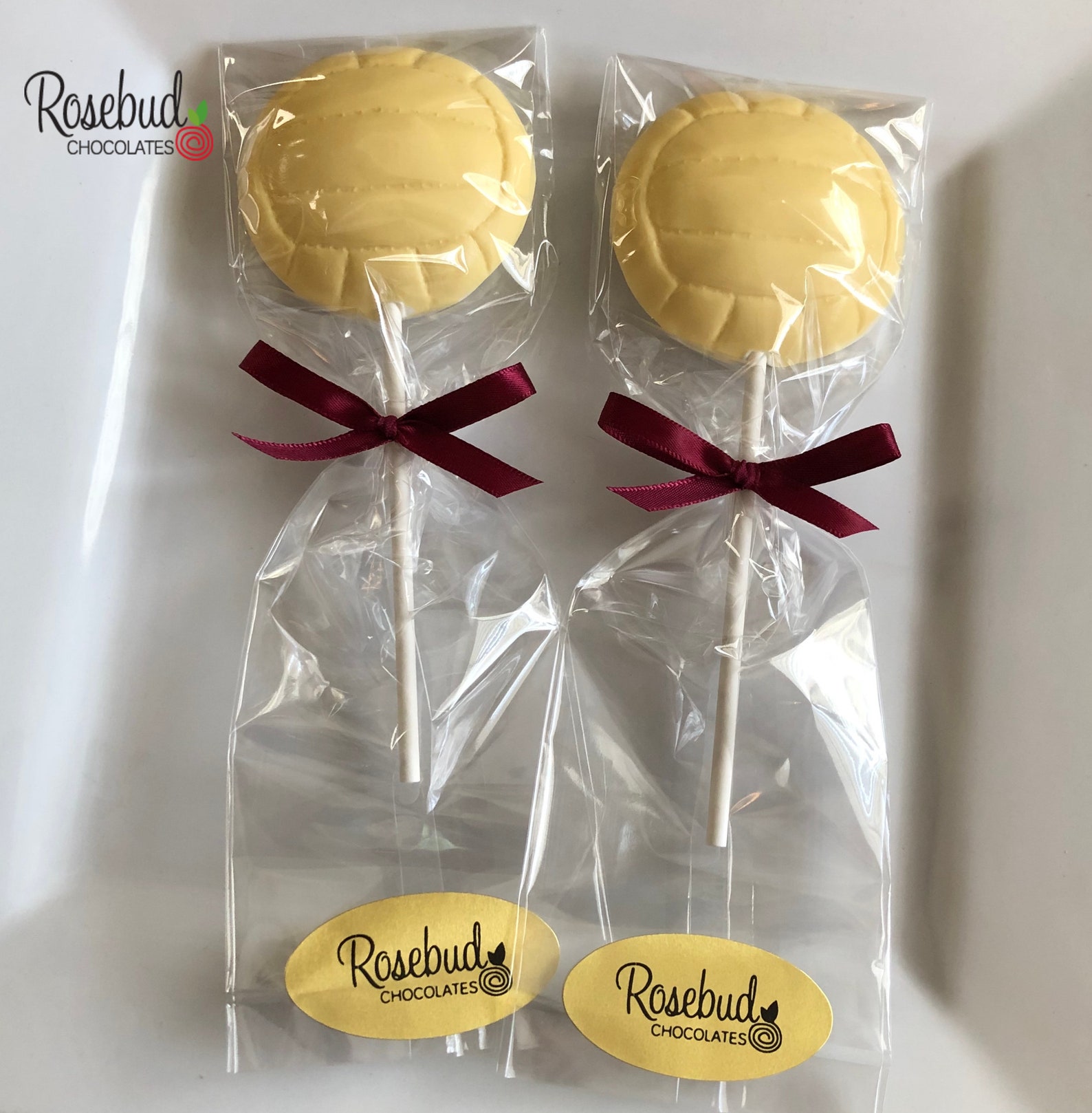 12 WATER POLO BALL Chocolate Lollipop Sports Banquet Candy | Etsy