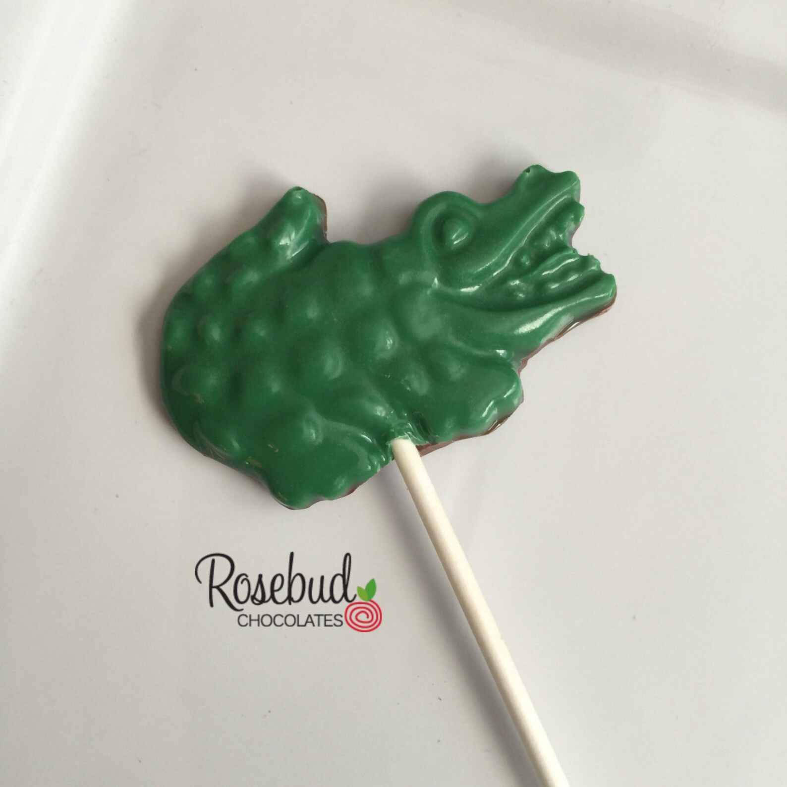 12 ALLIGATOR CROCODILE Milk Chocolate Lollipops Birthday Party | Etsy